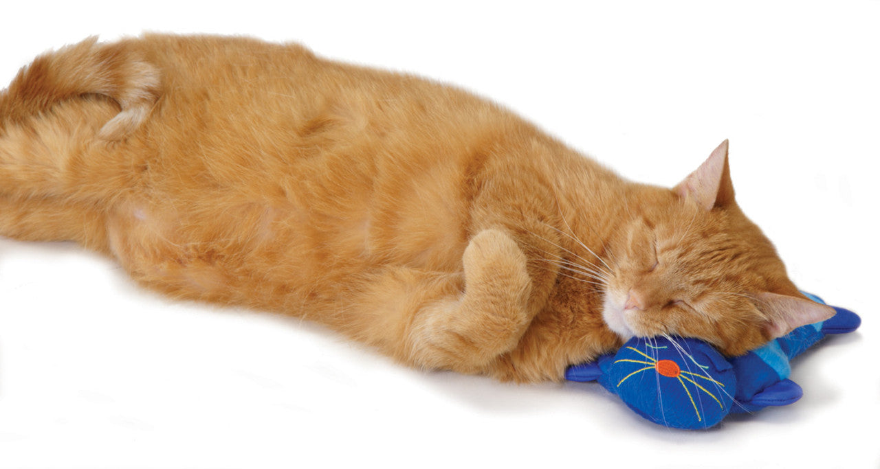 Petstages Kitty Cuddle Pal Plush Soothing Warmth Microwaveable Pouch C ...